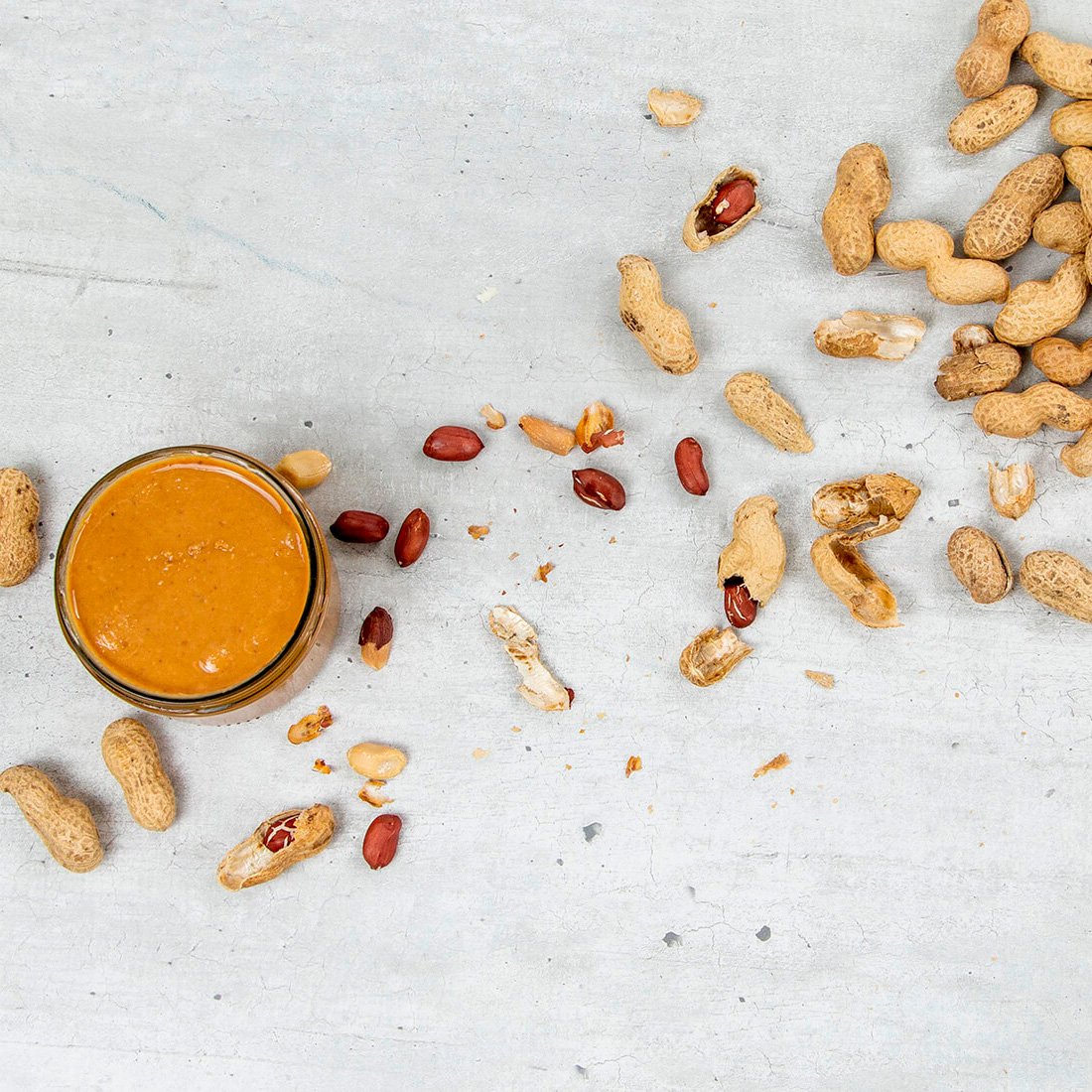 Le moulin à purée d'oléagineux WEnutbutter - Croc Equipement